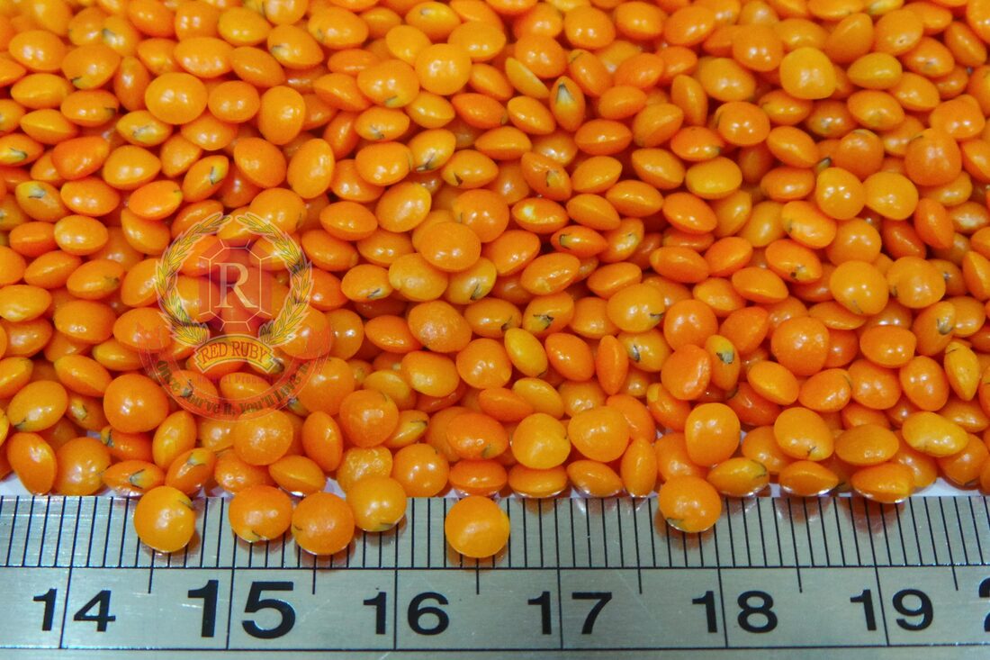 Red Lentils (Football) / ပဲနီလေးအလုံး - MAY YU MART